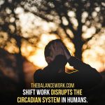 What Is Second Shift - 7 Pros You Can't Deny - TBW