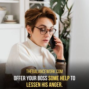9 Reasons Why Boss Is Always Angry - Let's Deal With It - TBW