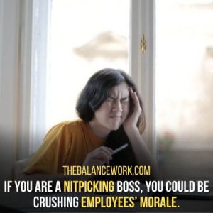 14 Proven Signs Of A Nitpicking Boss | TheBalanceWork