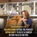 28 Types Of Jobs For People With No Experience | TBW